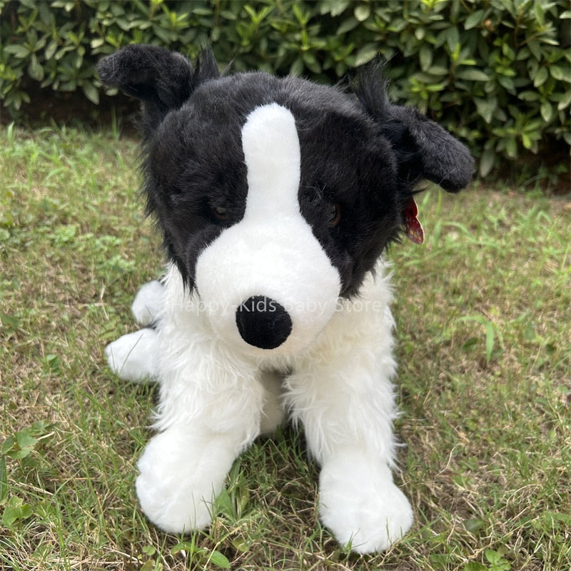 Realistic Border Collie Love Stuffed Animal Plush Toy - Large Size