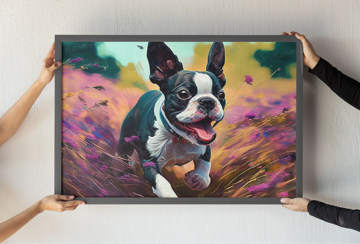 Lavender Fields Boston Terrier Wall Art Poster