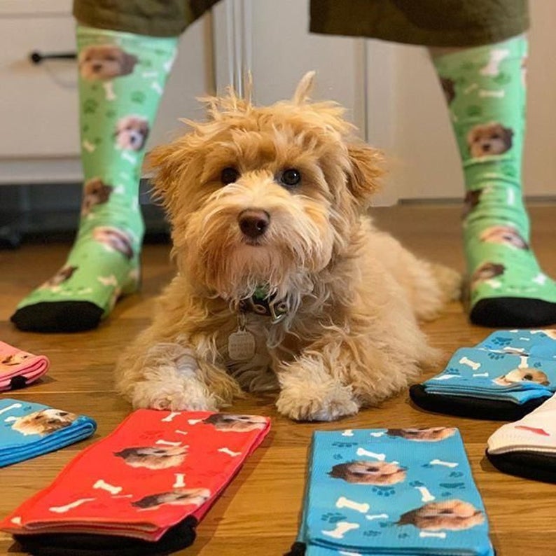 Personalized Custom Collie / Sheltie Socks
