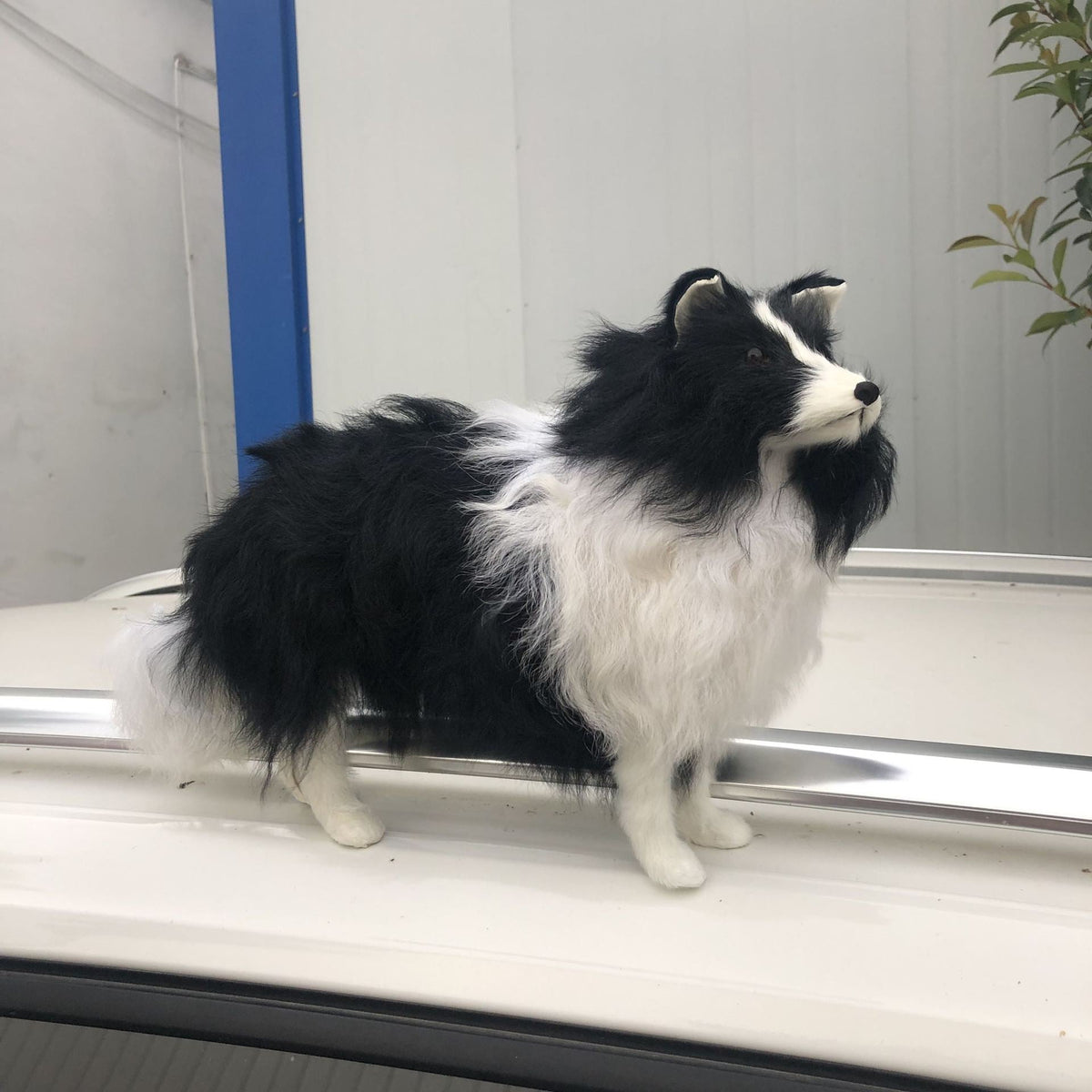 Realistic Border Collie Stuffed Animal with Faux Fur