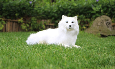 Realistic Samoyed Stuffed Animal with Real Fur