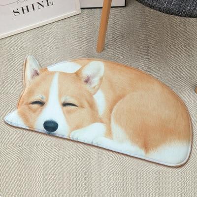 sleeping corgi